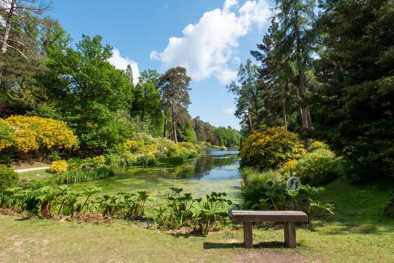 Ultimate Guide: All the healthy things to do in Horsham → Weald ...