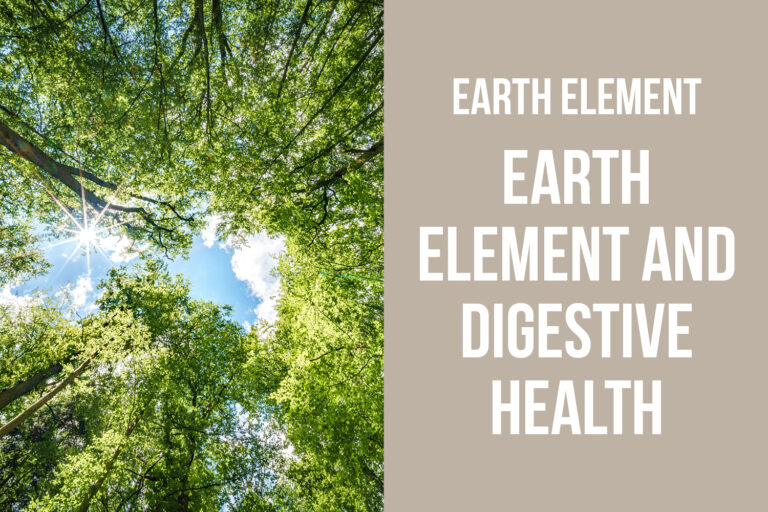 The Earth Element and Digestive Health → Weald Chiropractic